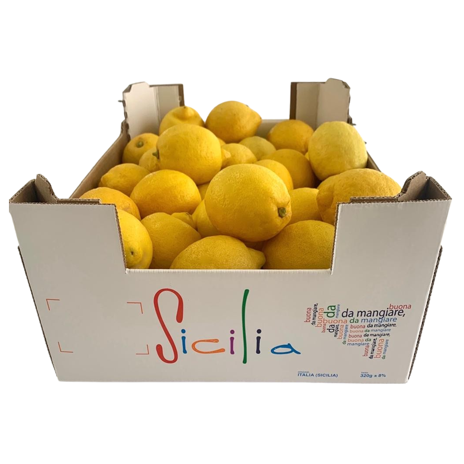 Primofiore Lemon - Pasam Agrumi
