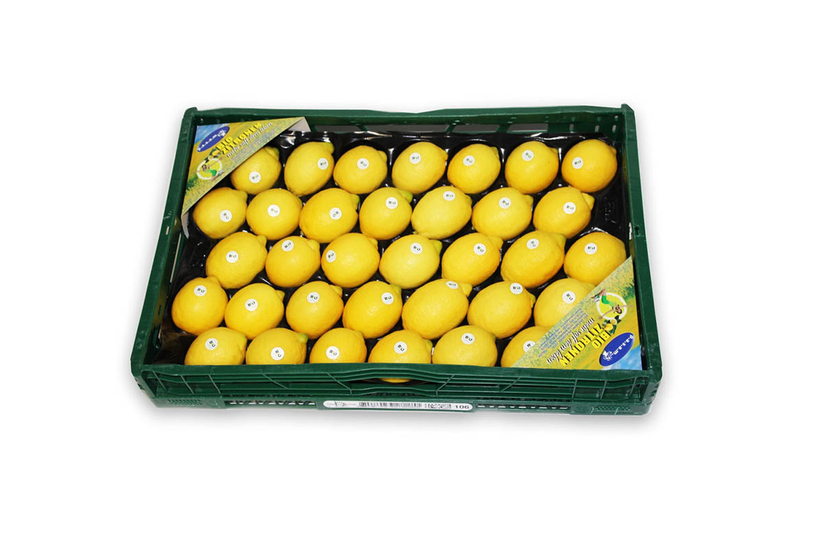 Primofiore Lemon - Pasam Agrumi