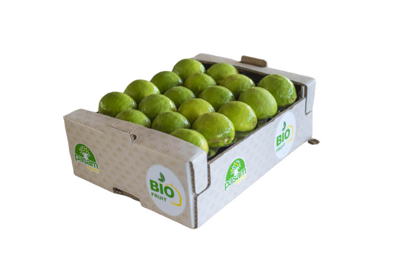 Limone Verdello di Siracusa | Limone Siciliano Estivo | Pasam Agrumi