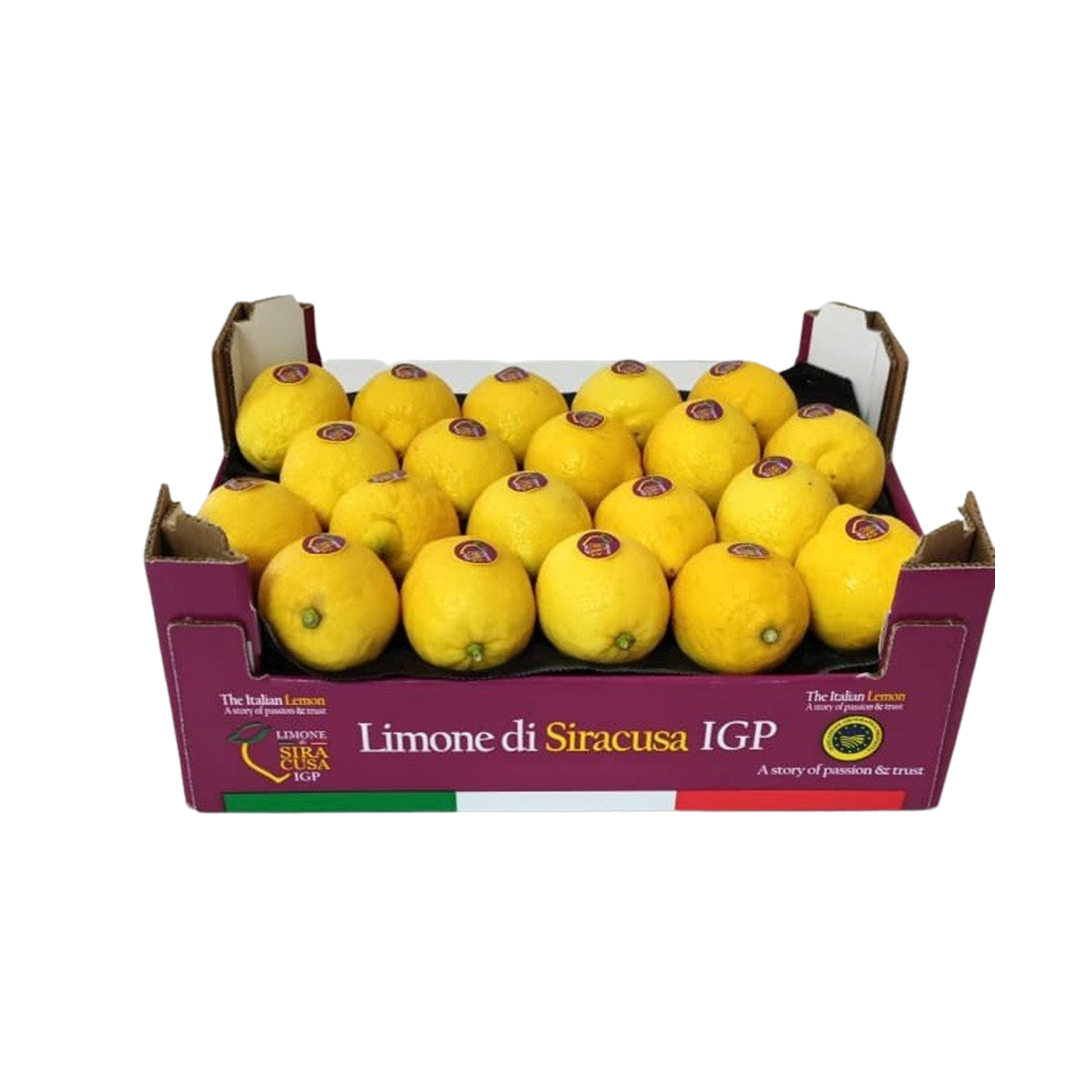 Primofiore Lemon - Pasam Agrumi