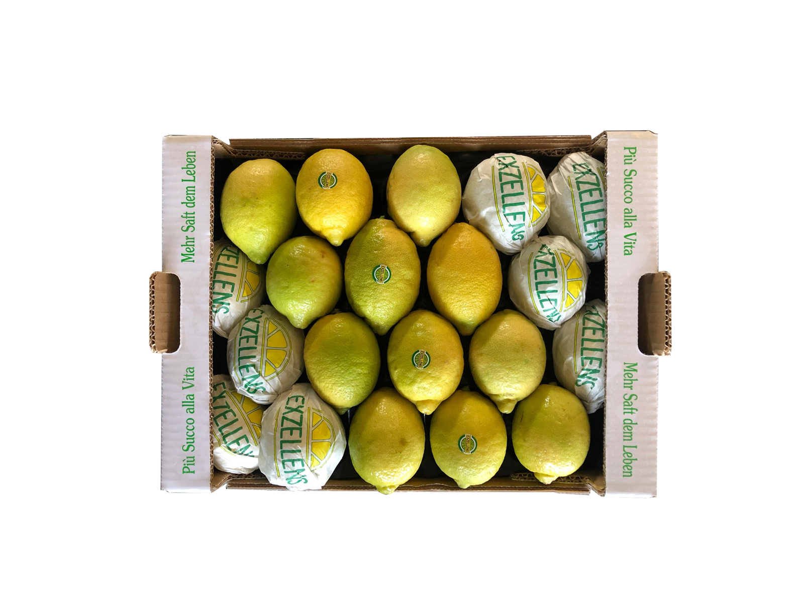 Primofiore Lemon - Pasam Agrumi