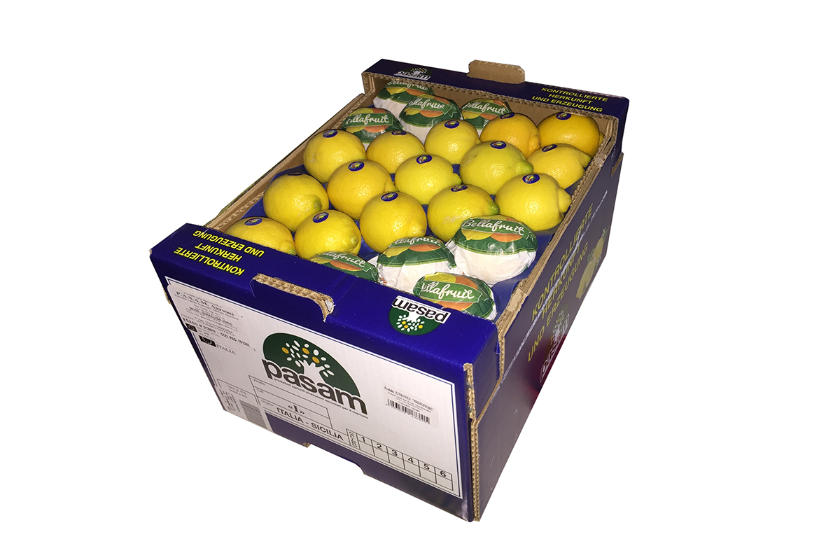 Primofiore Lemon - Pasam Agrumi