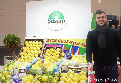 Drastica mancanza di limone siciliano - Pasam Agrumi